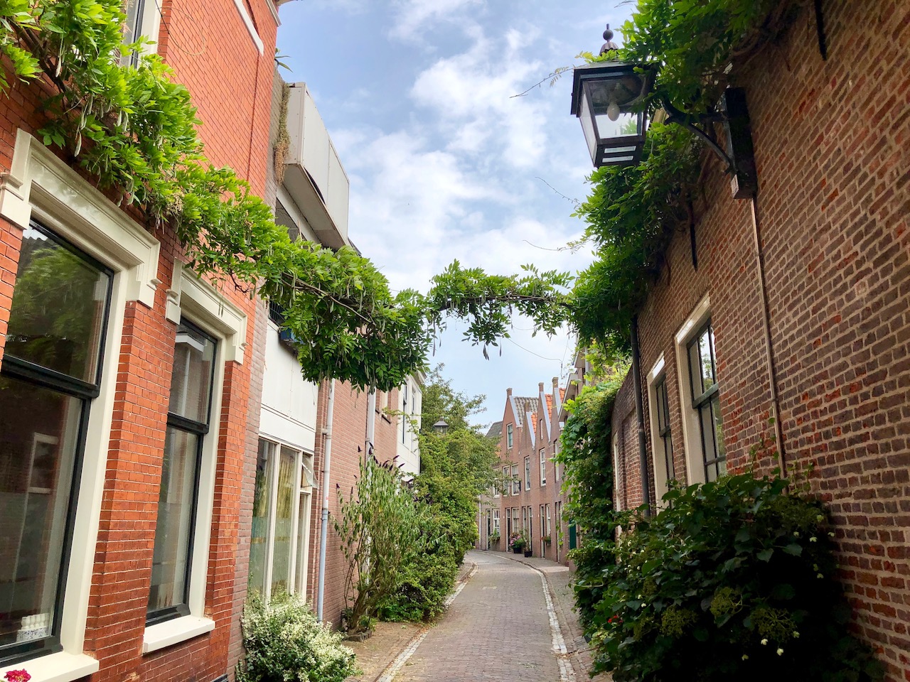 One Day in Haarlem: A Walk Around the Historic Town | The Postcard