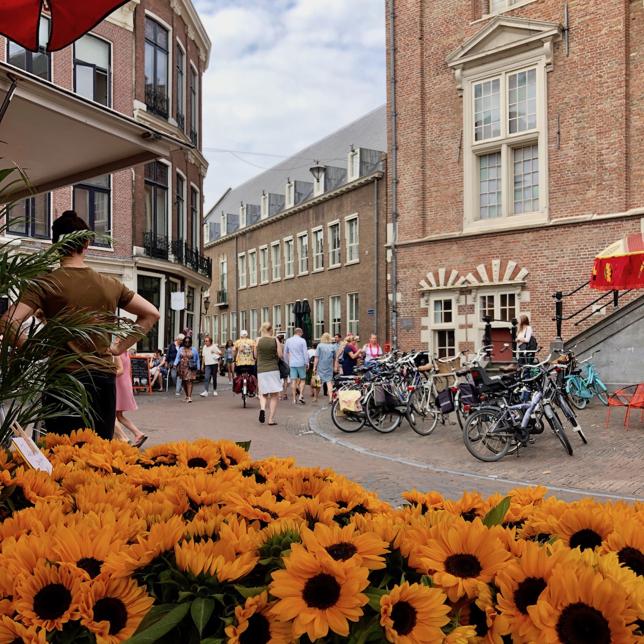 One Day in Haarlem: A Walk Around the Historic Town | The Postcard